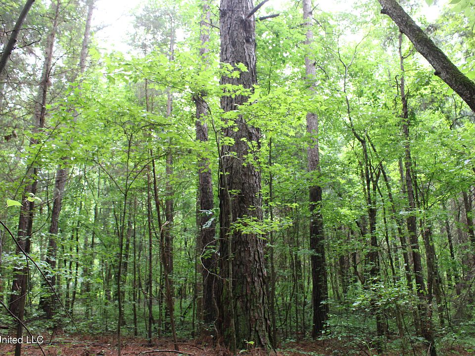 600 Jessies Rd, Michigan City, MS 38647 | MLS #4116784 | Zillow
