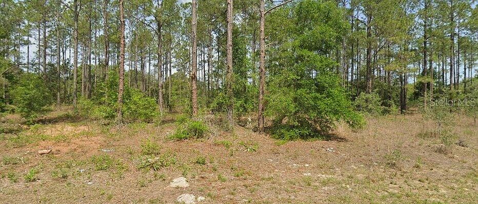 10940 N Letterwood Way #6, Dunnellon, FL 34434 | MLS #O6303546 | Zillow