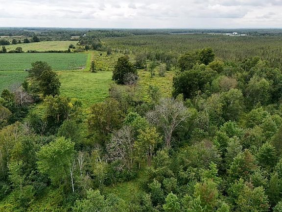 Lt0 North HOMESTEAD ROAD, Conrath, WI 54731 | MLS #1890308 | Zillow