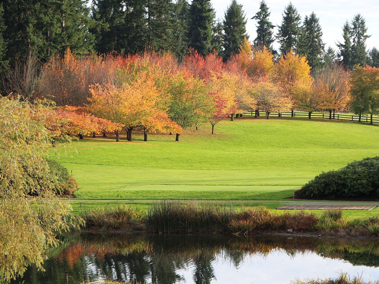 Old Mill Rd SW, Vashon, WA 98070 | Zillow