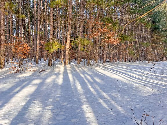 V/l County Rd #612, Lewiston, MI 49756 | Zillow