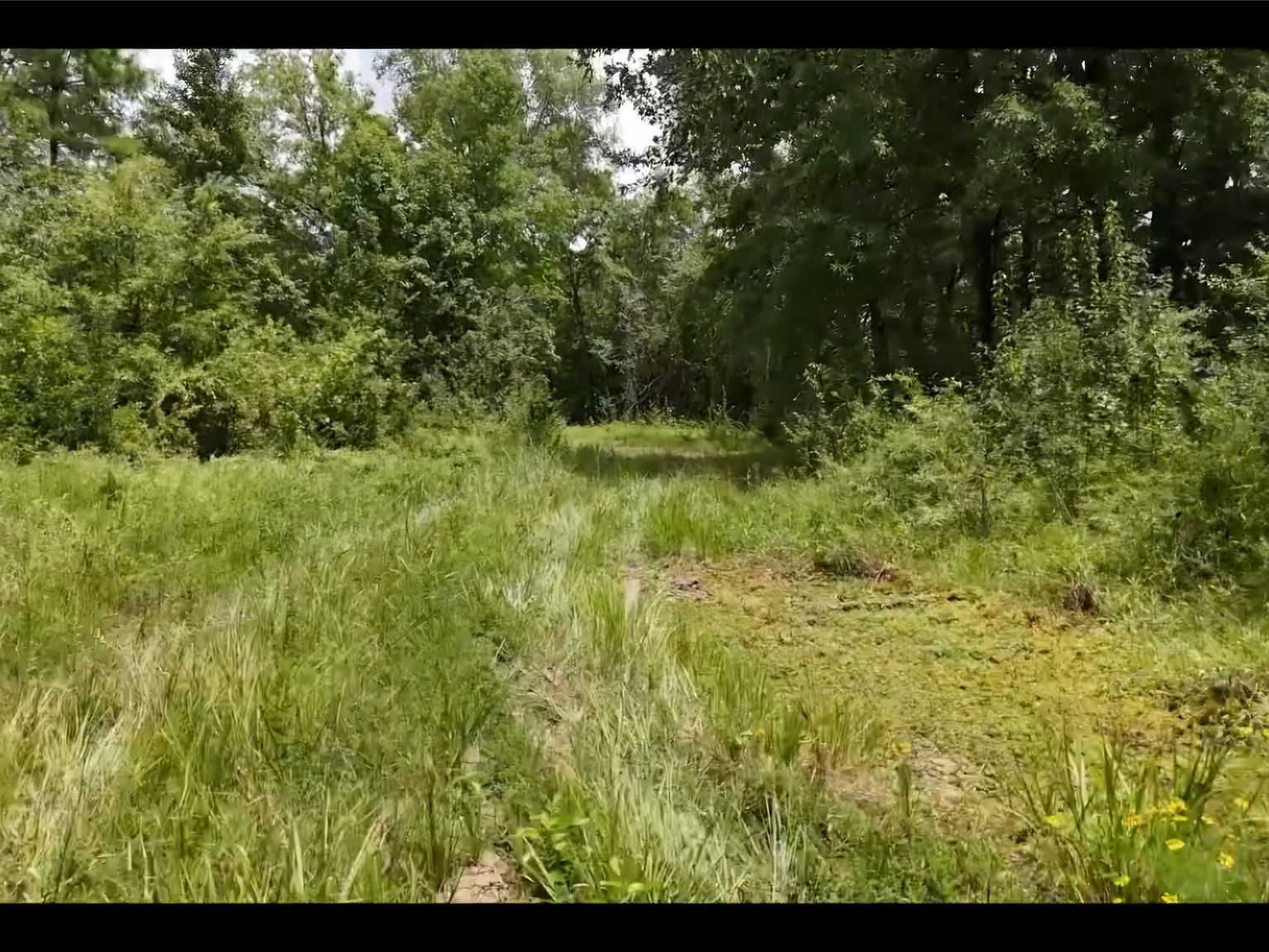 3 County Road 2215, Detroit, TX 75436 | MLS #20697212 | Zillow