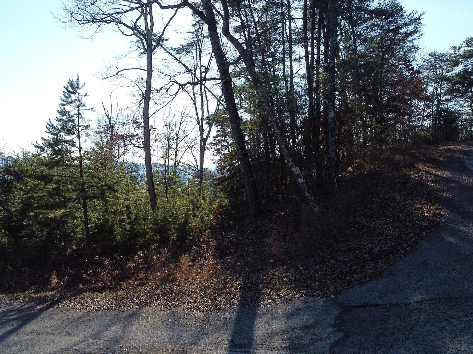 155 Emerald Point, Sharps Chapel, TN 37866 | Zillow