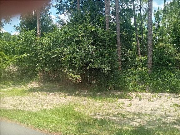 Haines Creek Rd, Leesburg, FL 34788 | MLS #U8253004 | Zillow