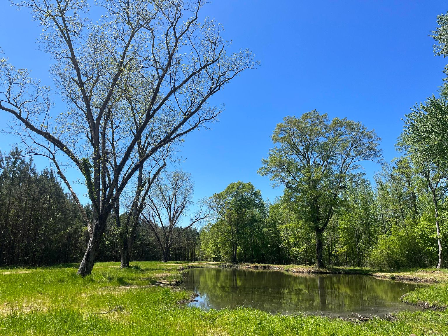 Spurlock Rd, Columbus, MS 39702 | MLS #23-689 | Zillow