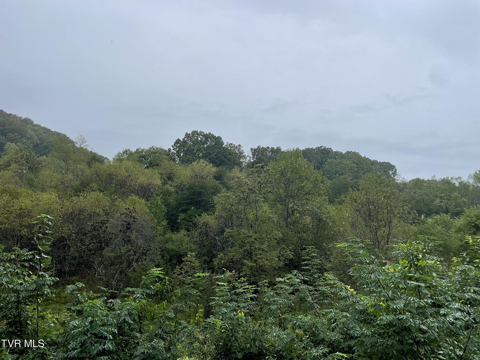 0 Hermitage Ln, Mount Carmel, TN 37645 | MLS #9971732 | Zillow