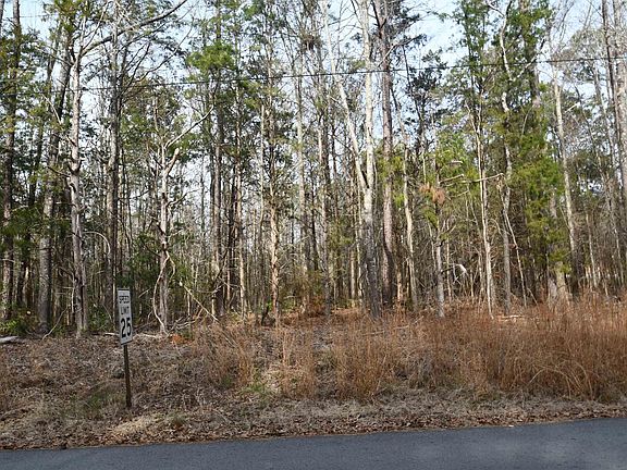 0 Highway 391, Prosperity, SC 29127 | MLS #602323 | Zillow