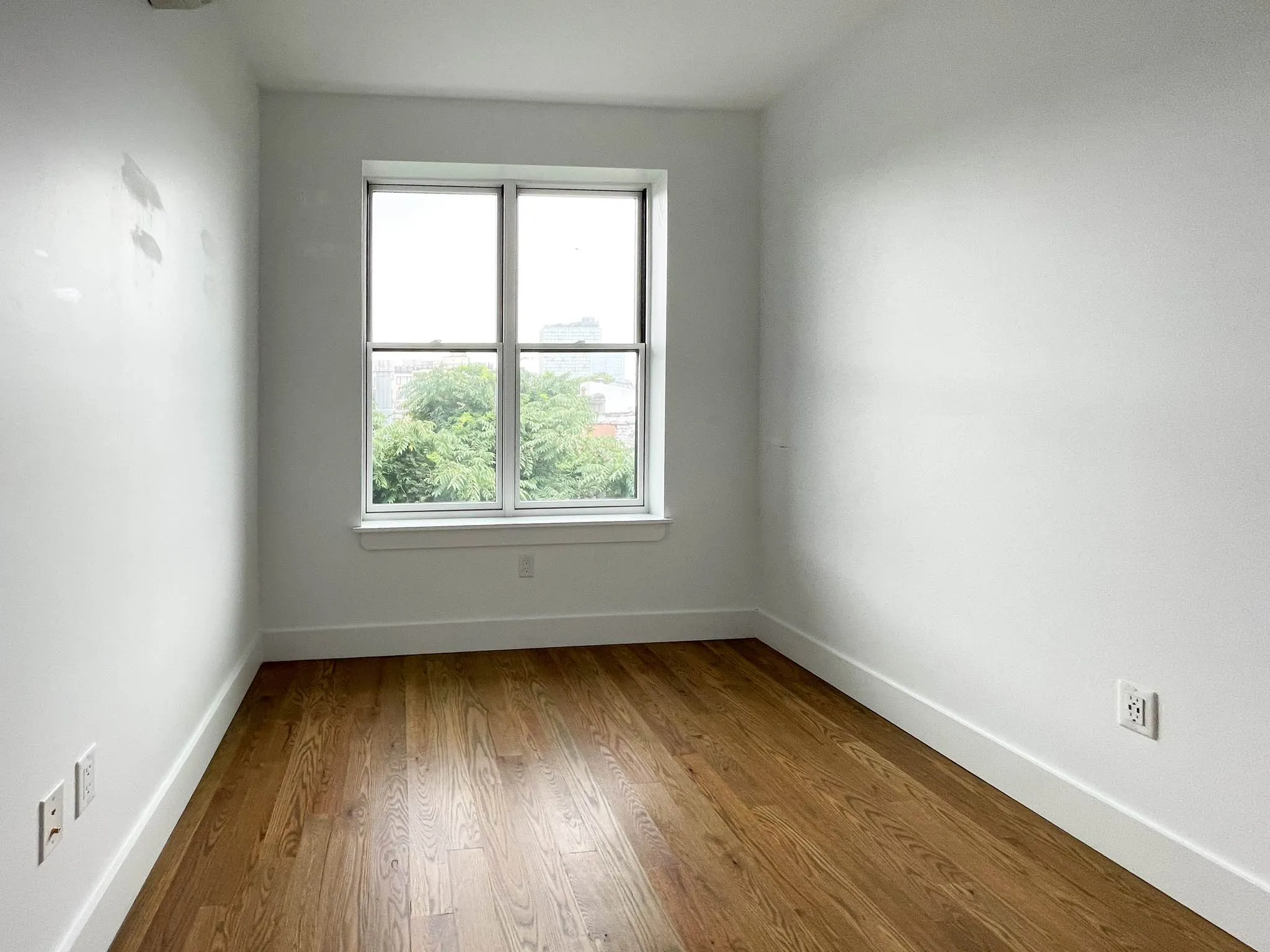 224 Hawthorne Street #5B in Prospect Lefferts Gardens, Brooklyn ...