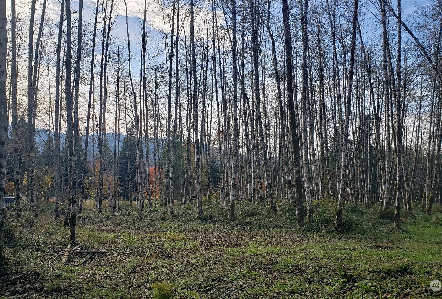 4311 WA State Route 508, Cinebar, WA 98533 | MLS #2312529 | Zillow