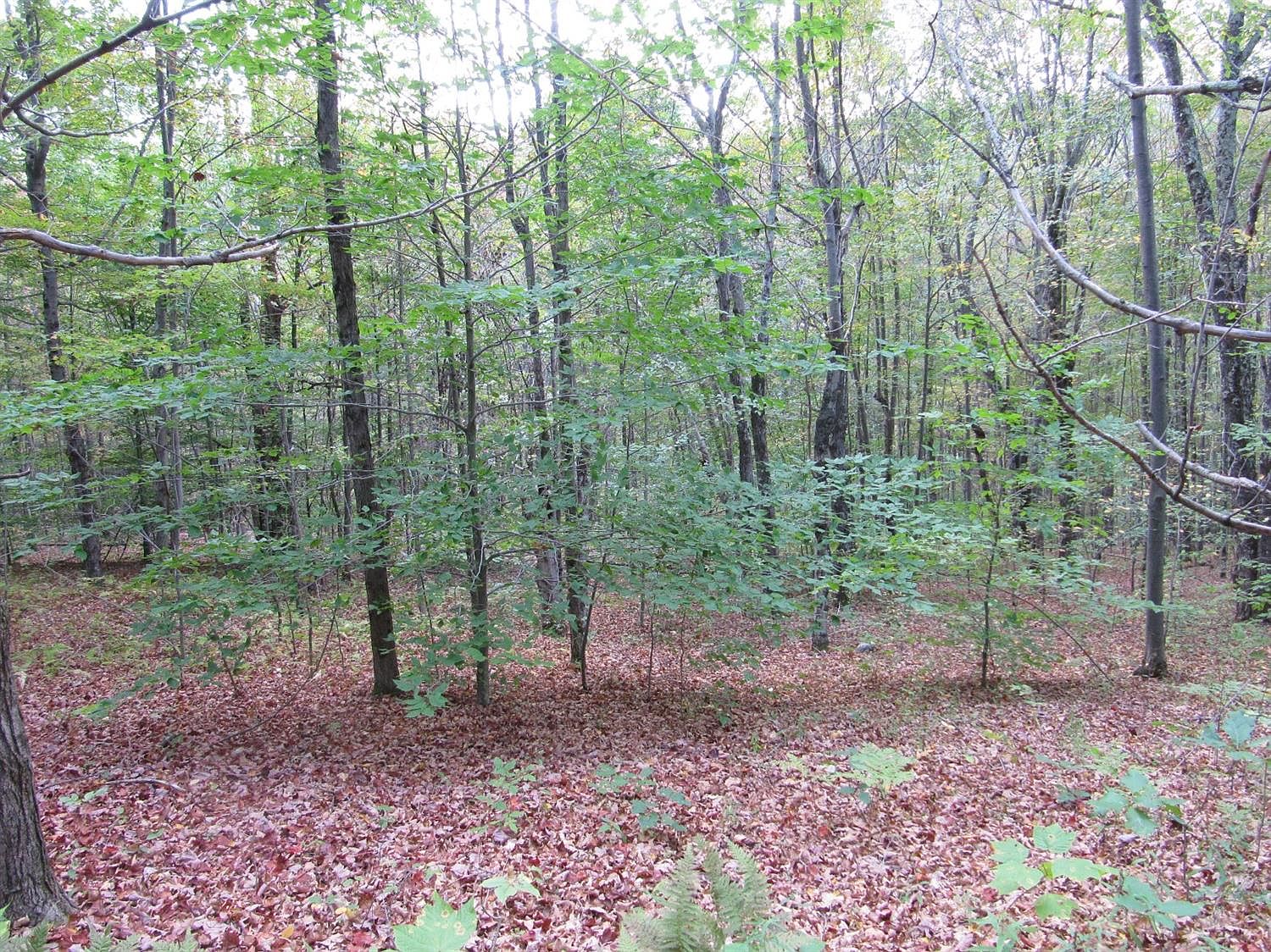 Jennie Archer Rd, Andes, NY 13731 | Zillow