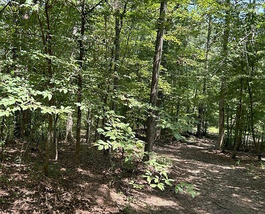 3270 County Road 839, Nacogdoches, TX 75964 | MLS #22401216 | Zillow