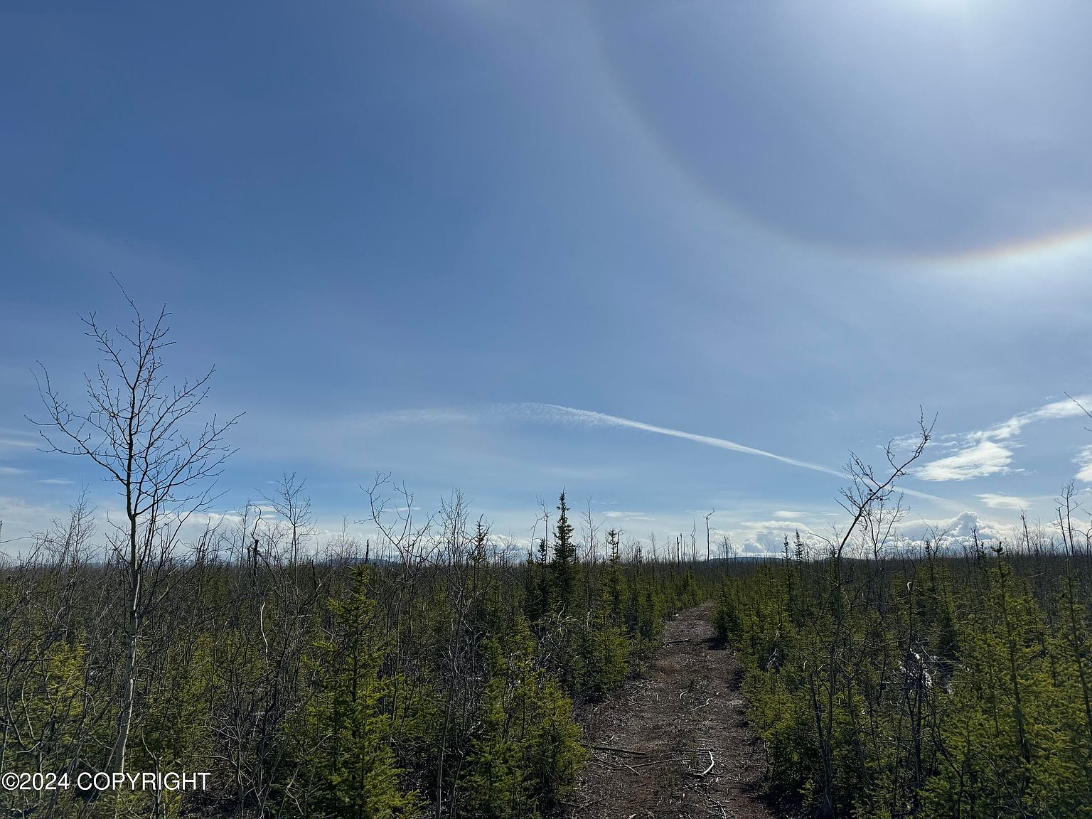 Nhn Yukon Ave, Anderson, AK 99744 | Zillow