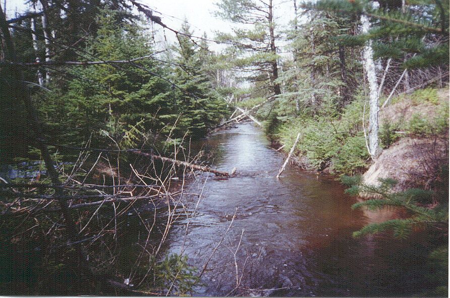 9468 Dinky Line Rd., Rexton, MI 48509 | Zillow