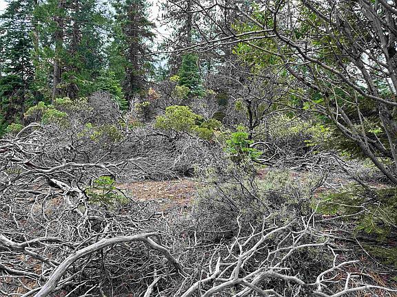 1.4 Acres Summit Dr, Mount Shasta, CA 96067 | MLS #20230609 | Zillow