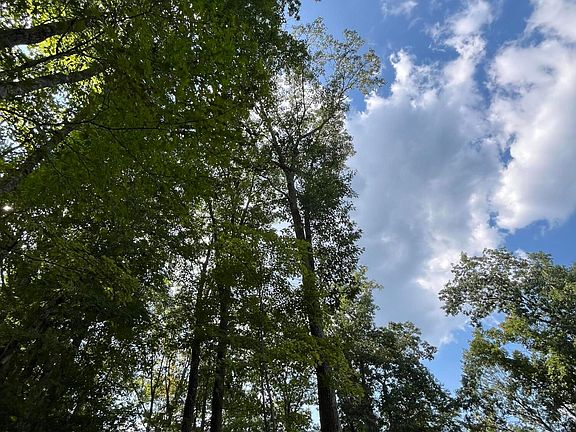 LOT 4 Ellison Ridge Rd, Jumping Branch, WV 25969 | MLS #24-1202 | Zillow