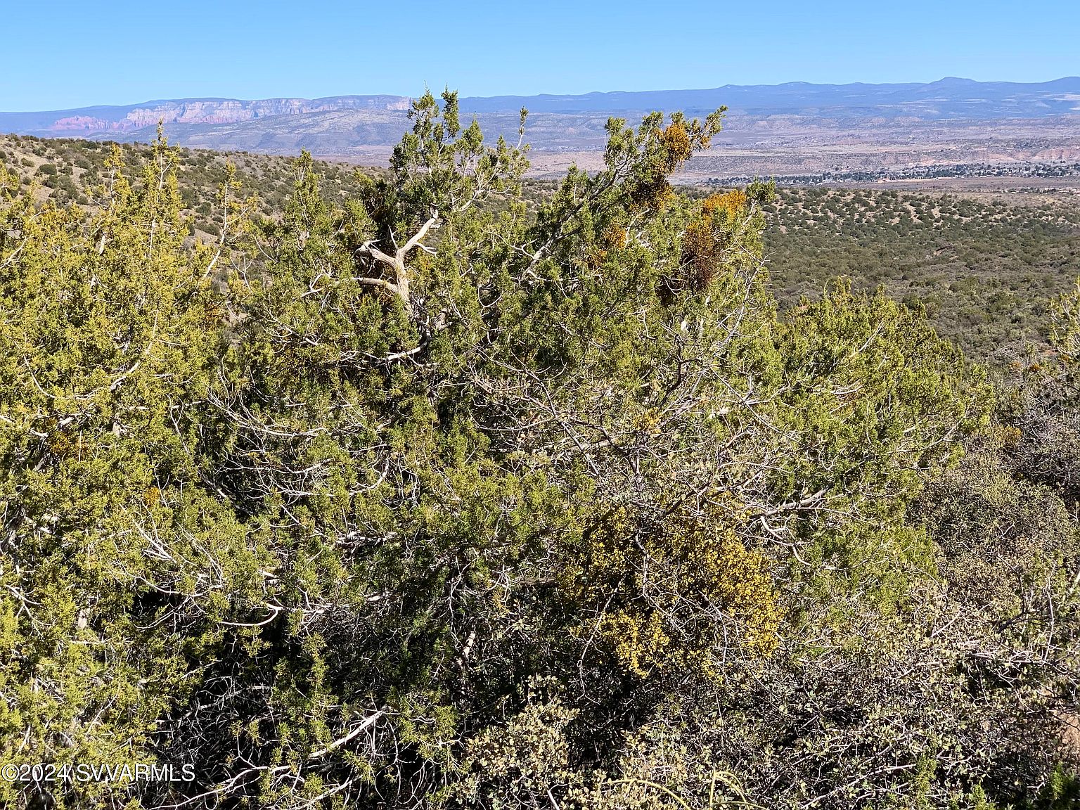 2990 W Quail Springs Ranch Rd, Cottonwood, AZ 86326 | MLS #535076 | Zillow