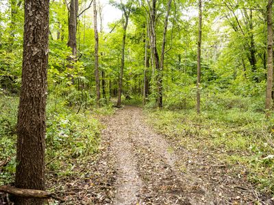 0 Madron Lake Rd, Buchanan, MI 49107 | MLS #21002149 | Zillow