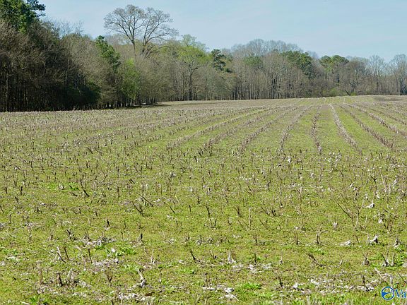 County Road 212, Centre, AL 35960 | Zillow