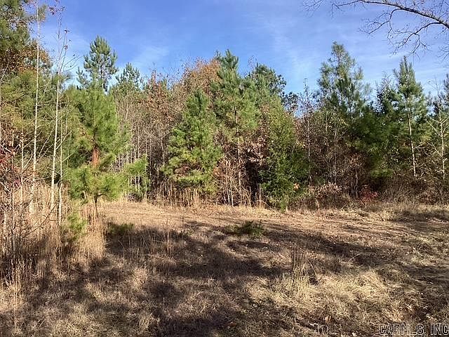 6955 State Highway 278 Point N, Rosston, AR 71858 | MLS #24044753 | Zillow