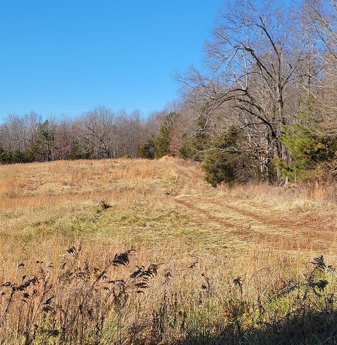 16 Down Creek Rd, Brookneal, VA 24528 | Zillow