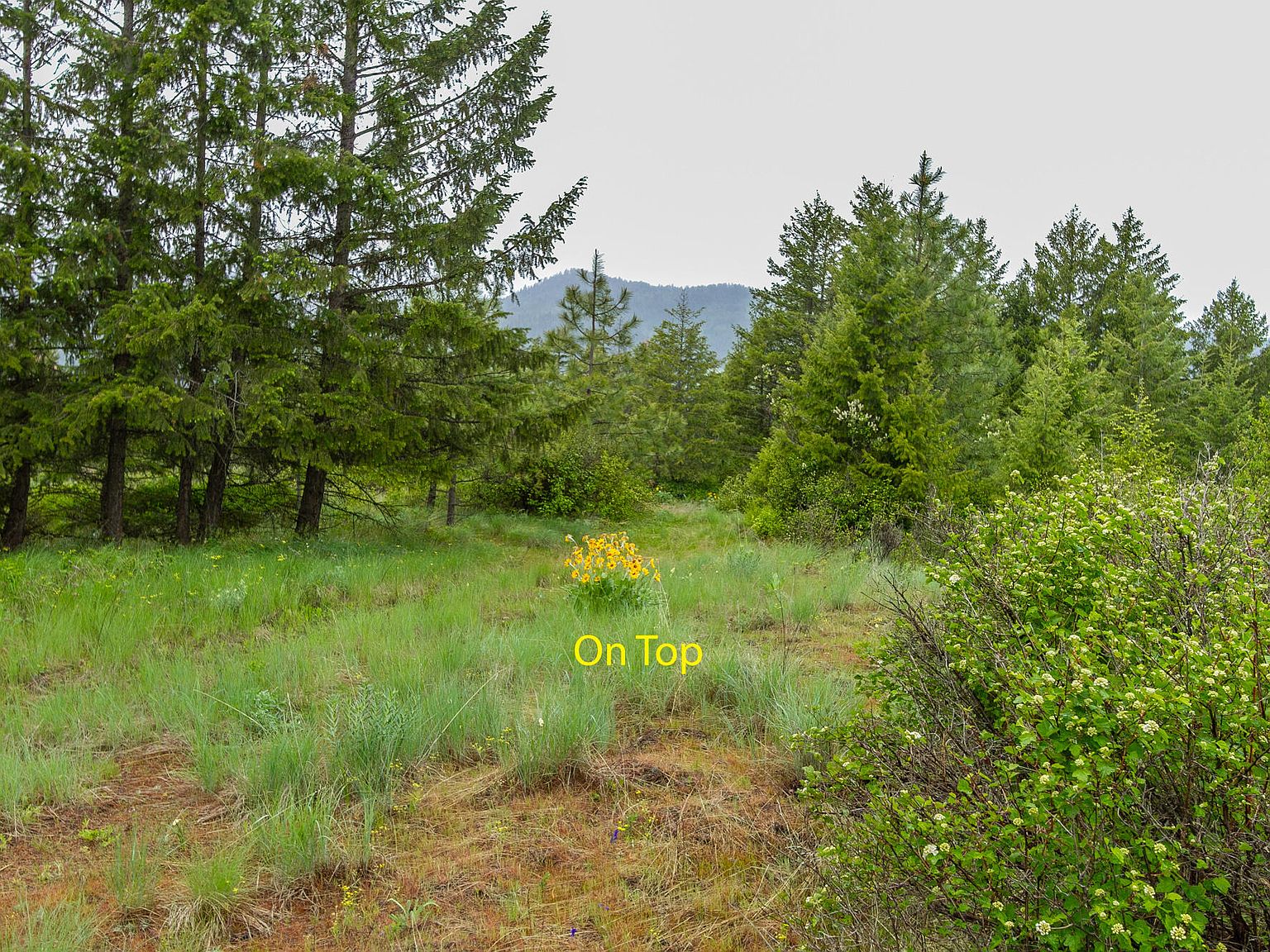 2420 Cedonia Addy Rd #A, Addy, WA 99101 | MLS #44651 | Zillow