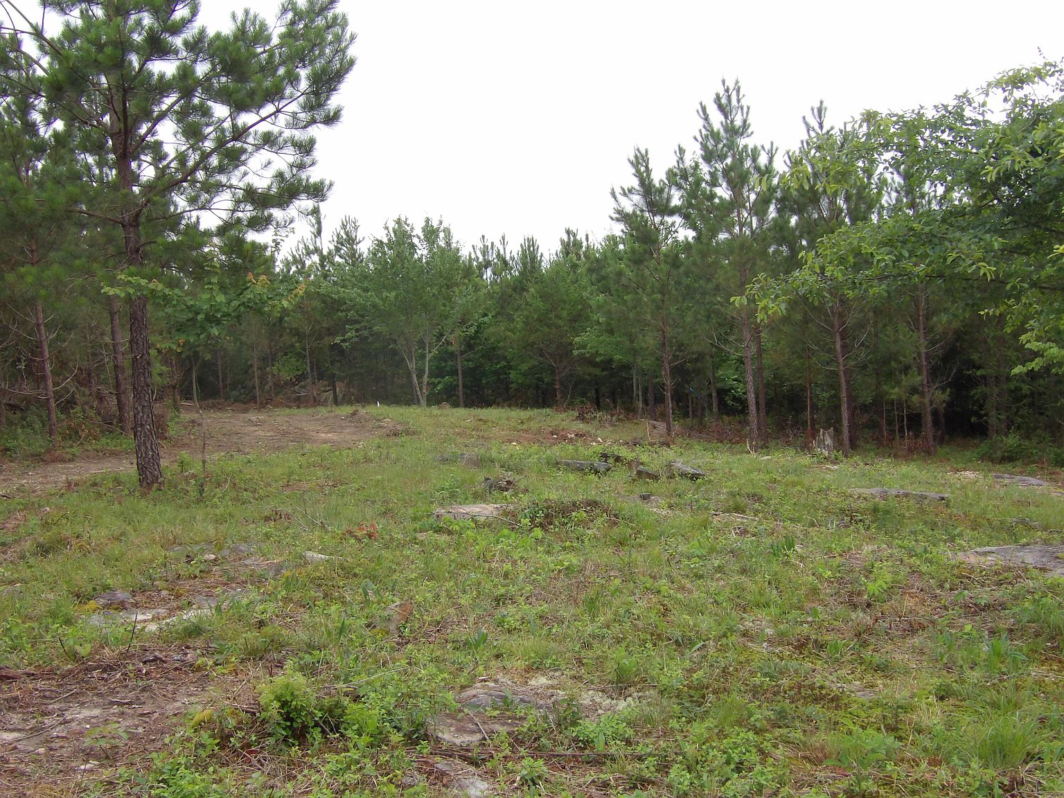 3 Summer City Rd, Evensville, TN 37332 | MLS #1514844 | Zillow