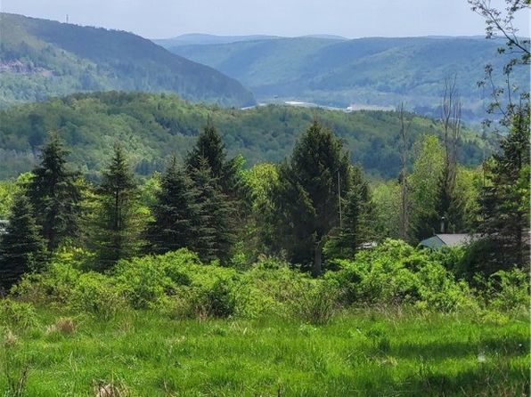 Deposit NY Real Estate - Deposit NY Homes For Sale | Zillow