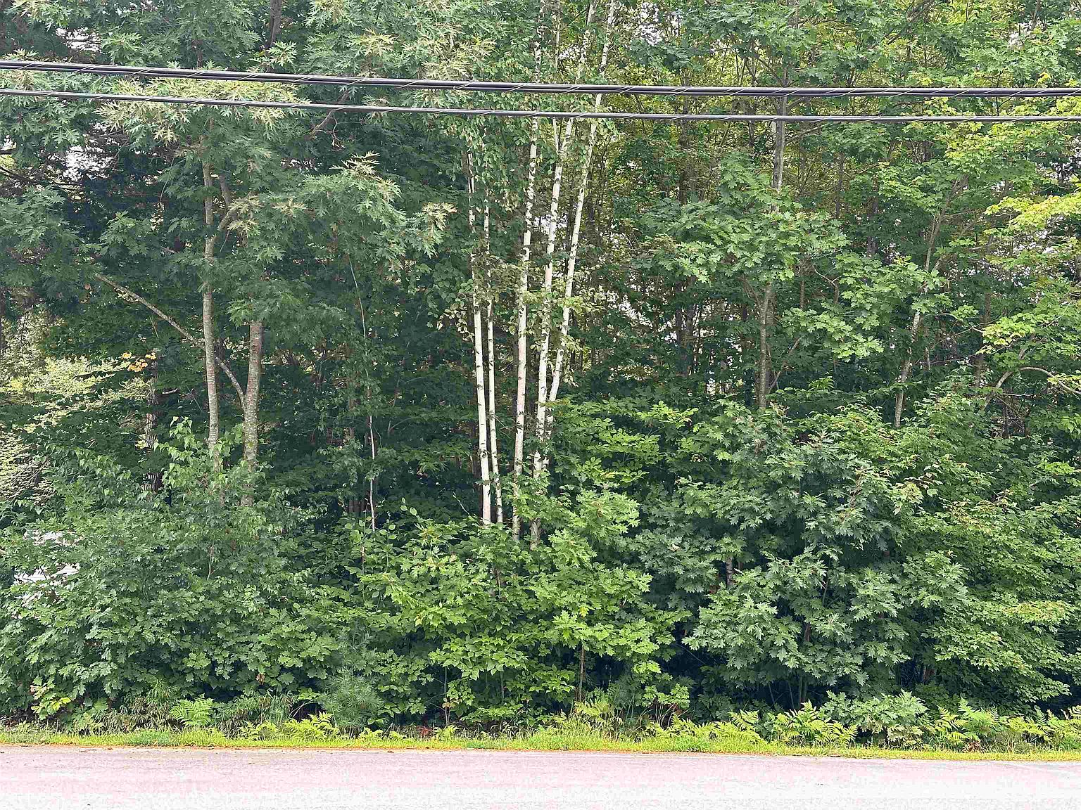 Lakeshore Drive lot 194, Union, NH 03887 | Zillow