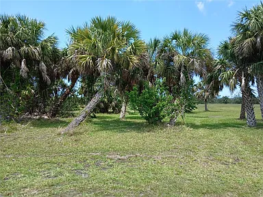 16091 Chitlan Ct Punta Gorda FL | Zillow