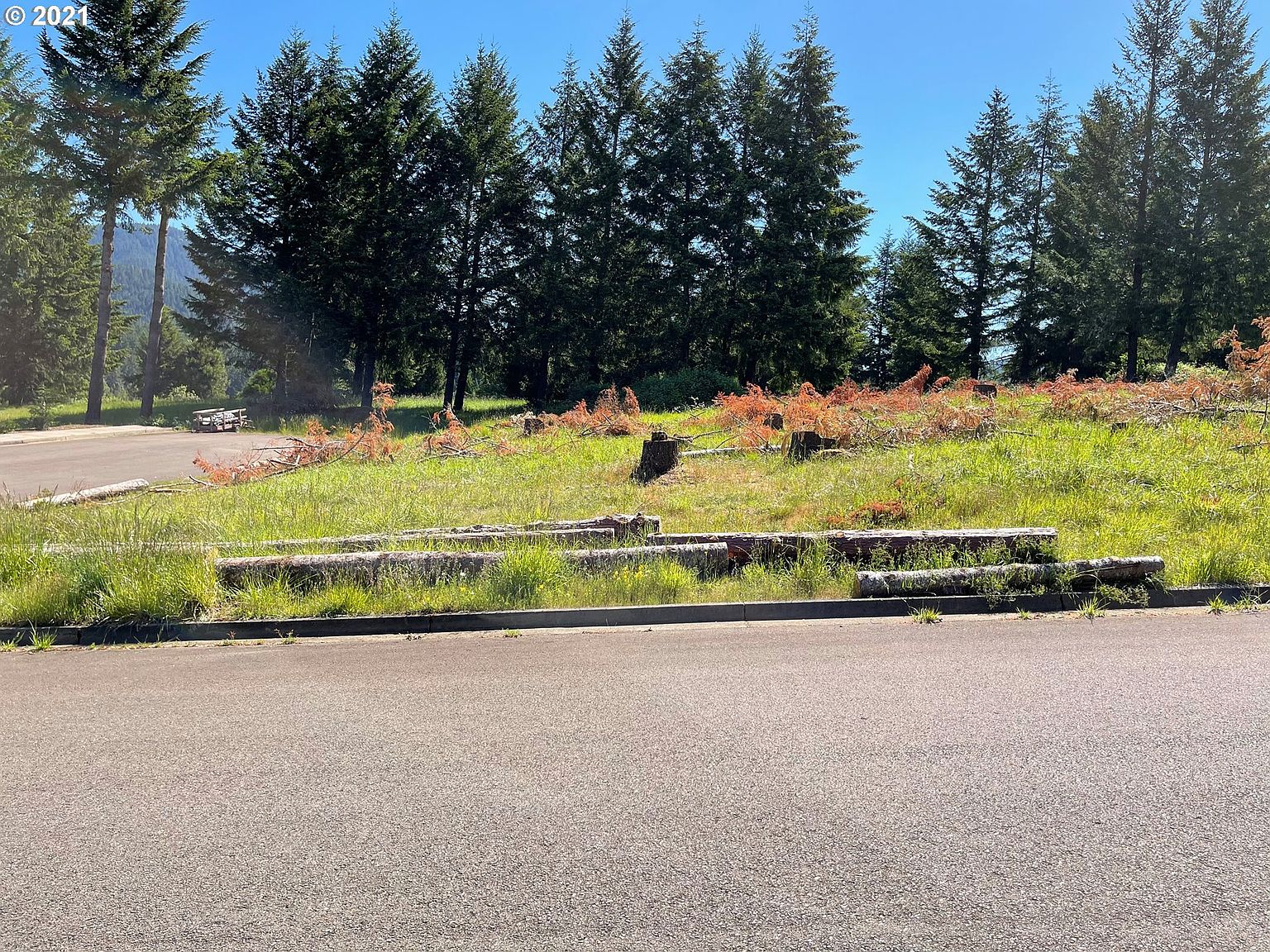 62 Bugle Loop, Oakridge, OR 97463 | Zillow