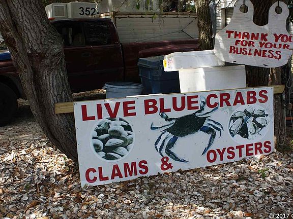 0 Rye Key Dr, Cedar Key, FL 32625 | Zillow