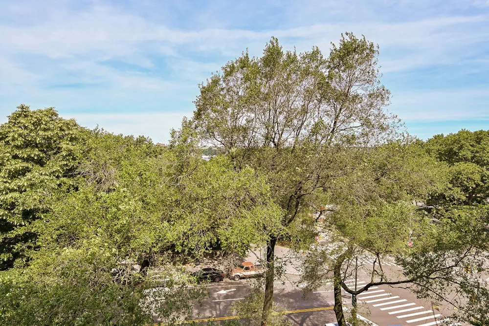 224 Riverside Drive #5A in Upper West Side, Manhattan | StreetEasy