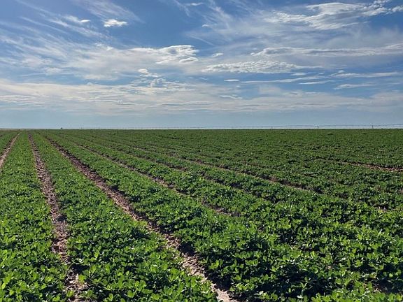 Fm 179, Odonnell, TX 79351 | MLS #50067854 | Zillow