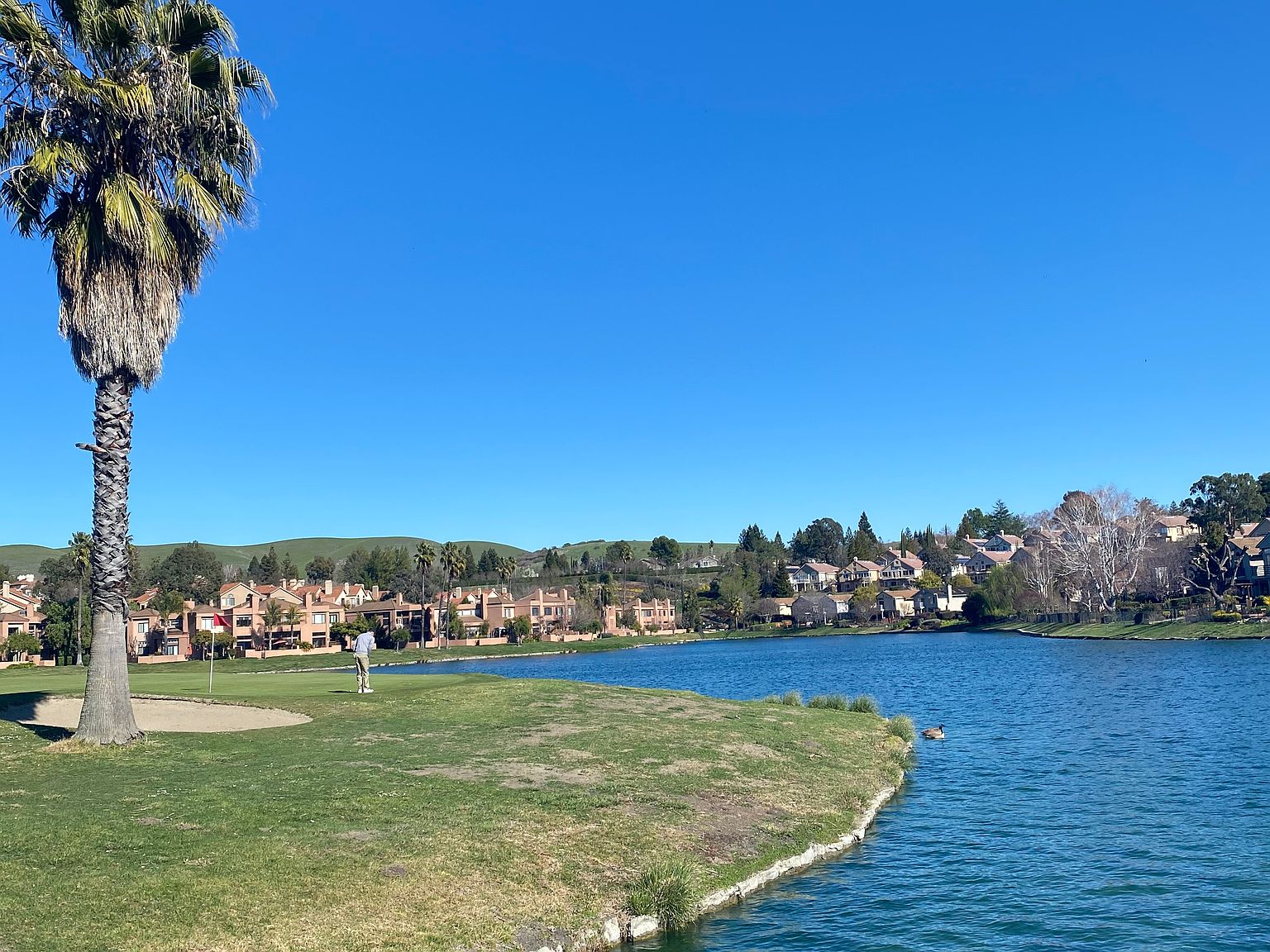 5330 E Lakeshore Dr, San Ramon, CA 94582 | Zillow