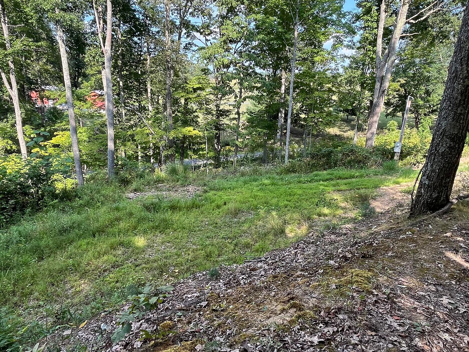 LOT 4 Ellison Ridge Rd, Jumping Branch, WV 25969 | MLS #24-1202 | Zillow