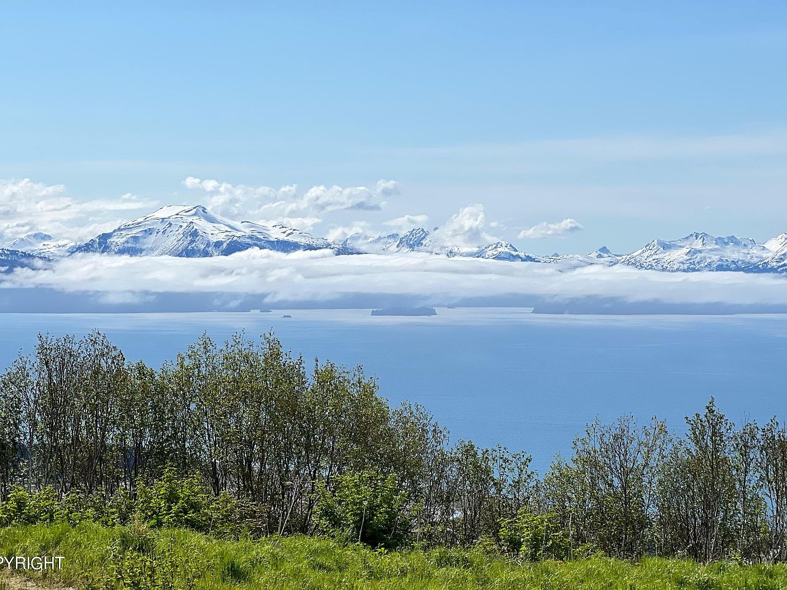 229 Tulin Bluff West Ct, Homer, AK 99603 | MLS #23-1563 | Zillow