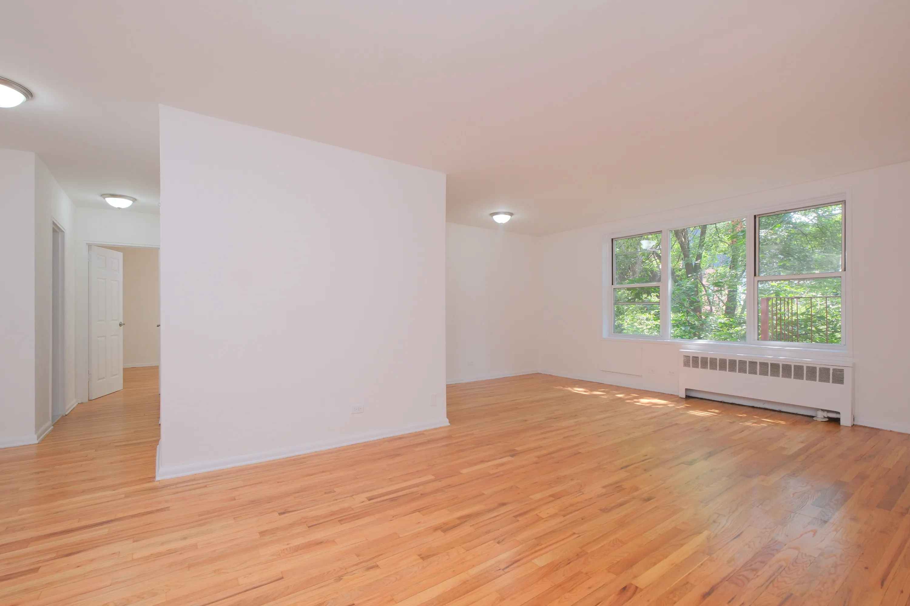 3201 Grand Concourse #4A in Bedford Park, Bronx | StreetEasy