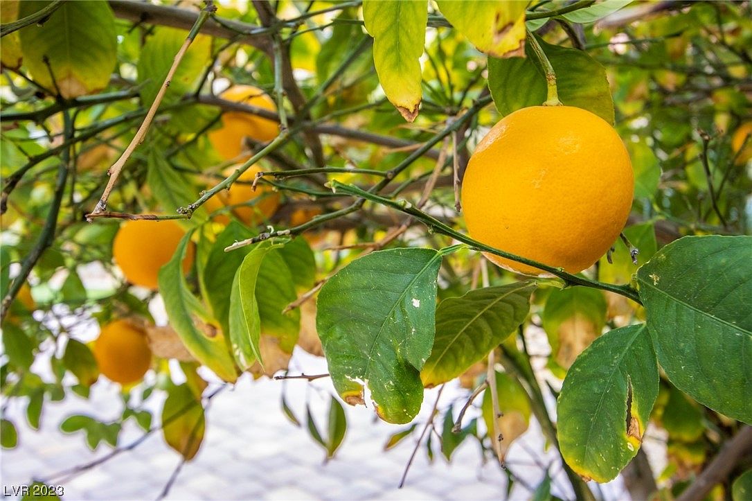 133 Crooked Putter Dr, Las Vegas, NV 89148 | MLS #2477407 | Zillow