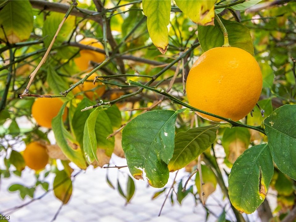 133 Crooked Putter Dr, Las Vegas, NV 89148 | MLS #2477407 | Zillow