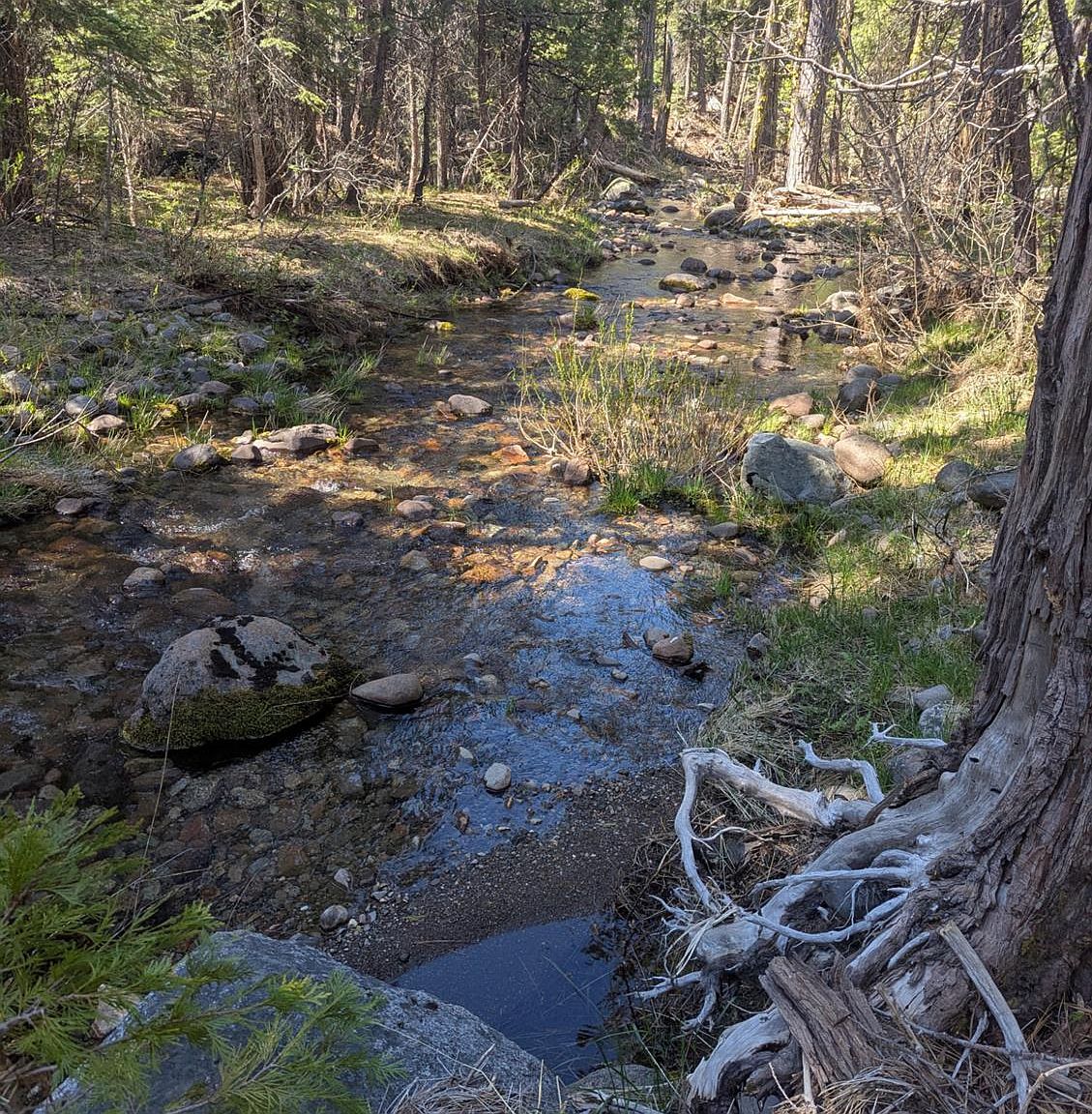 Texas Hill Rd, Emigrant Gap, CA 95715 | MLS #225064329 | Zillow