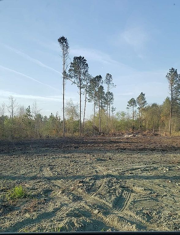 326 E Old Dover Rd, Dover, NC 28526 | Zillow