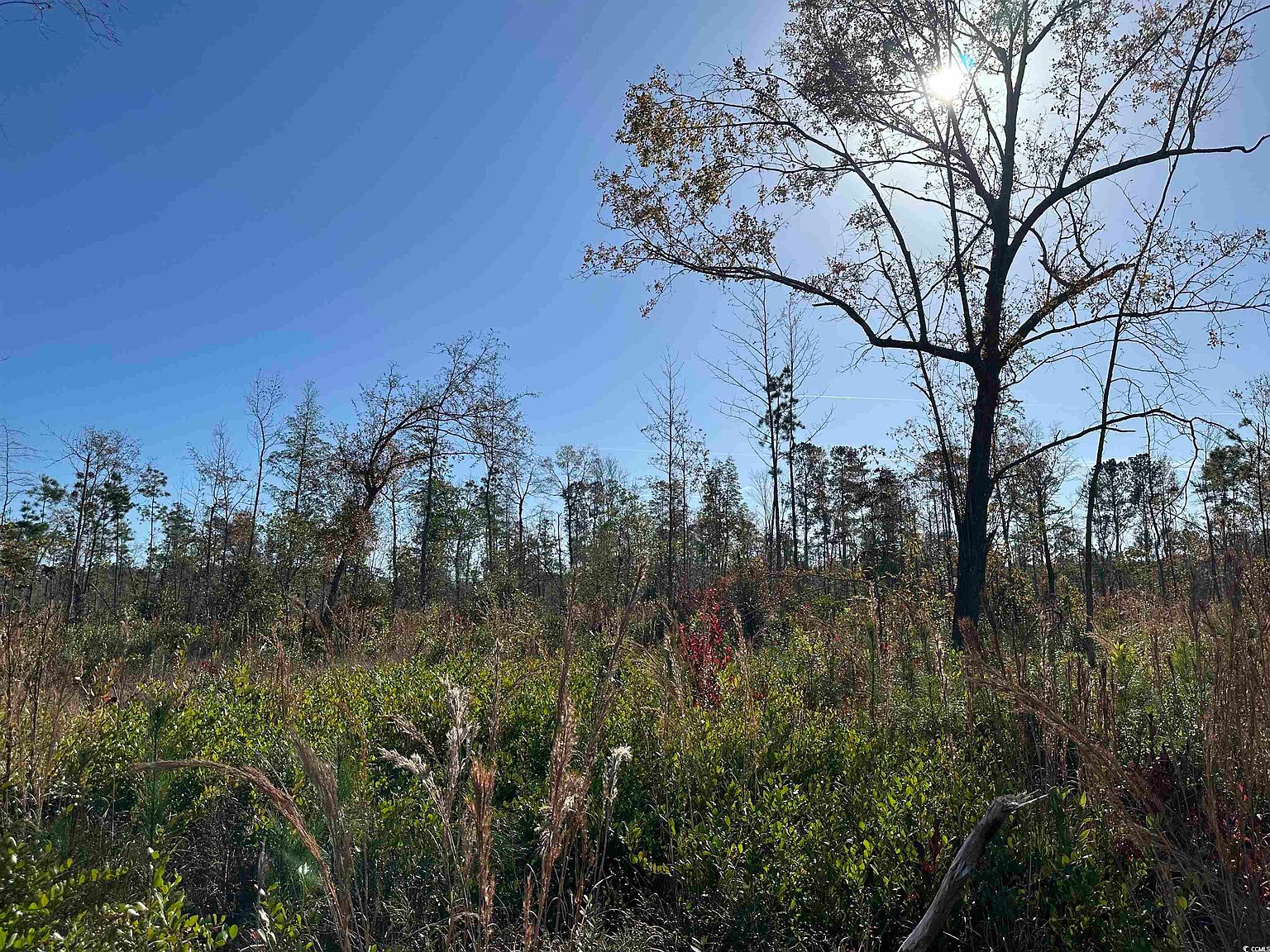 18+/- Acres TBD Epps Rd., New Zion, SC 29111 | Zillow