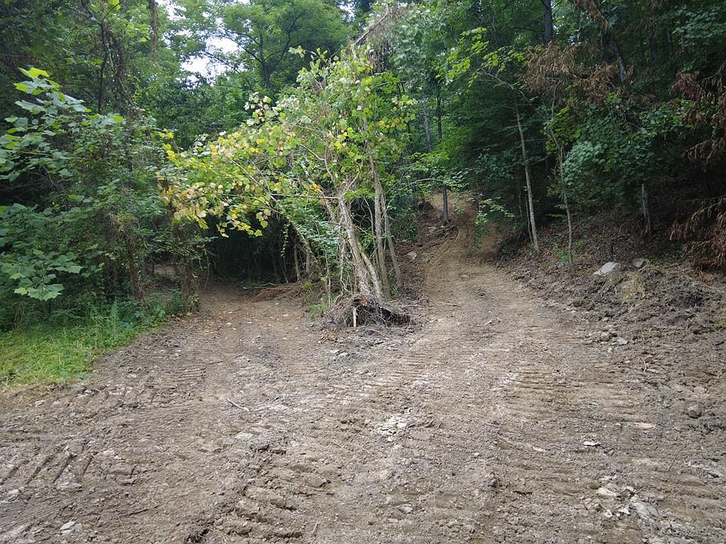 Nace Run, Stout, OH 45684 | Zillow