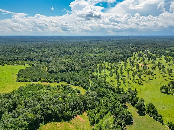 Quincy Hwy, Attapulgus, GA 39815 | MLS #11631 | Zillow