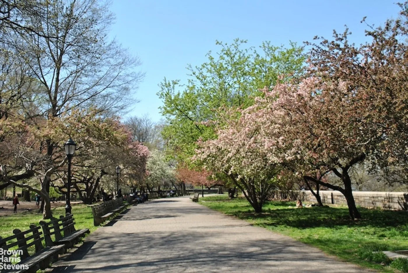 186 Riverside Drive #13A in Upper West Side, Manhattan | StreetEasy