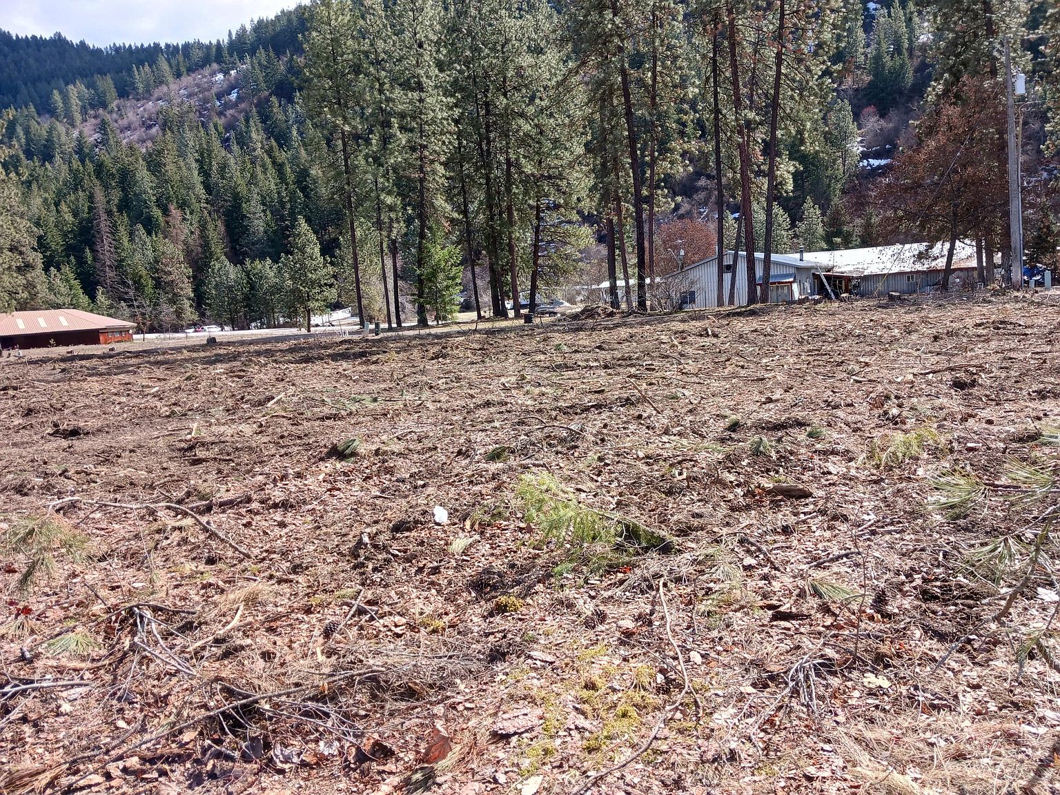 Minter Ave, Marcus, WA 99151 | MLS #42050 | Zillow