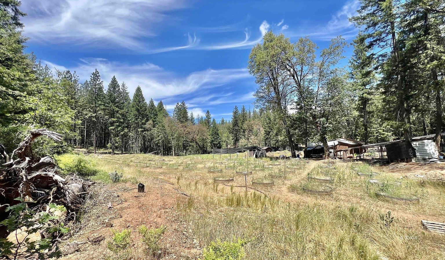 2020 Trinity Pines Dr, Hayfork, CA 96041 | MLS #2112312 | Zillow