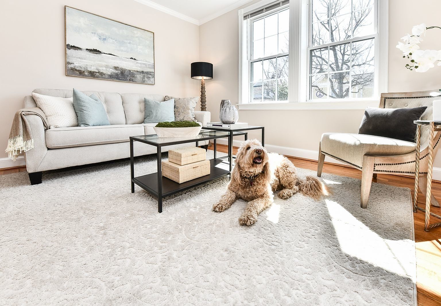 6 E Nelson Ave #A-102, Alexandria, VA 22301 | Zillow