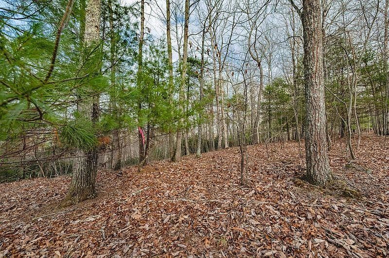 LOT C3 Spangler Mill Rd NE, Floyd, VA 24091 | Zillow