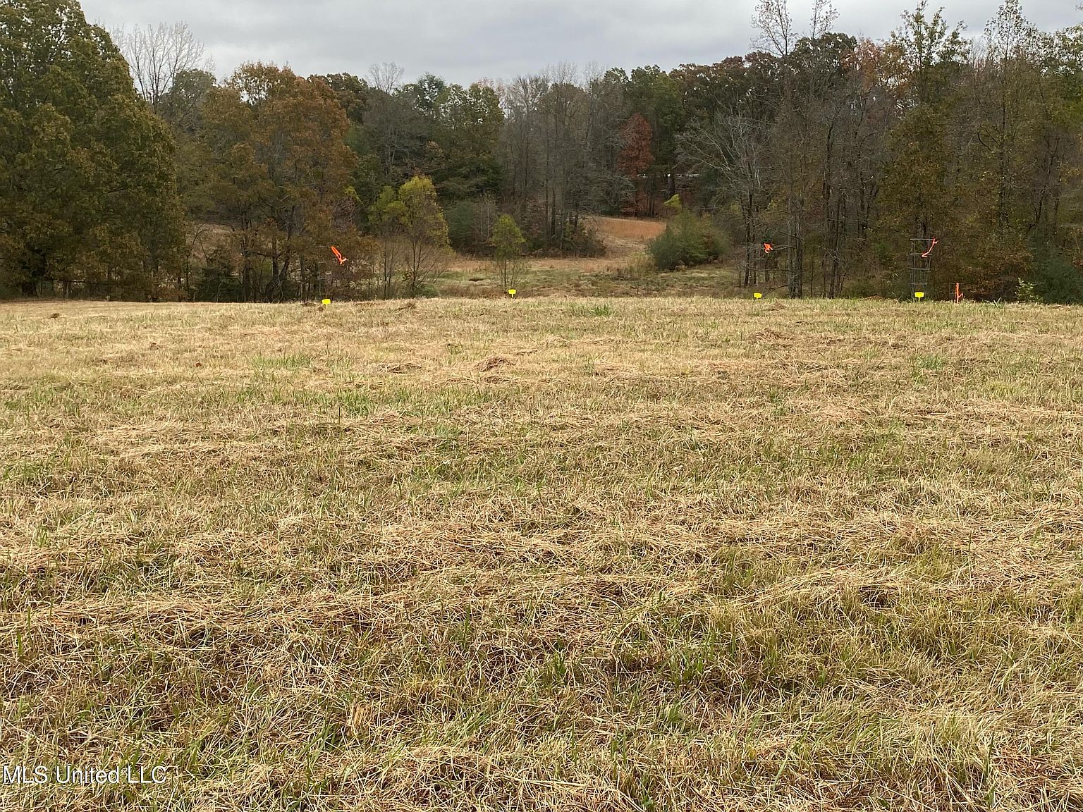 516 Arkabutla Dam Rd, Coldwater, MS 38618 | MLS #4095440 | Zillow
